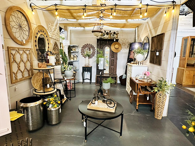 Warm wood tones and strategic lighting create the perfect backdrop for discovering that perfect accent piece you never knew you needed.