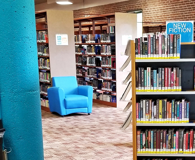 Bright, inviting spaces where borrowing books remains gloriously free&mdash;take that, streaming services charging monthly ransom fees.