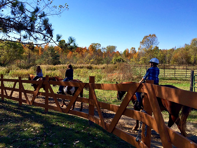 Horseback riding with a side of autumn splendor. These equestrians are experiencing the park's VIP tour—Very Important Ponies included.