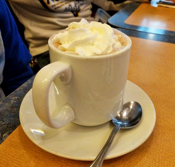 Hot chocolate that doesn't just warm your hands but hugs your soul, topped with a cloud of whipped cream that refuses to melt quietly.