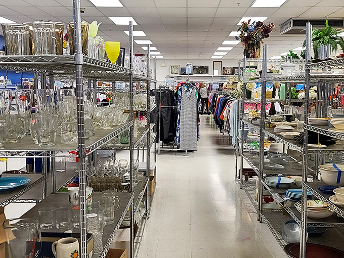 Glassware alley: where vintage meets modern in a symphony of transparency. That green jar is just waiting to become someone's prized kitchen centerpiece.
