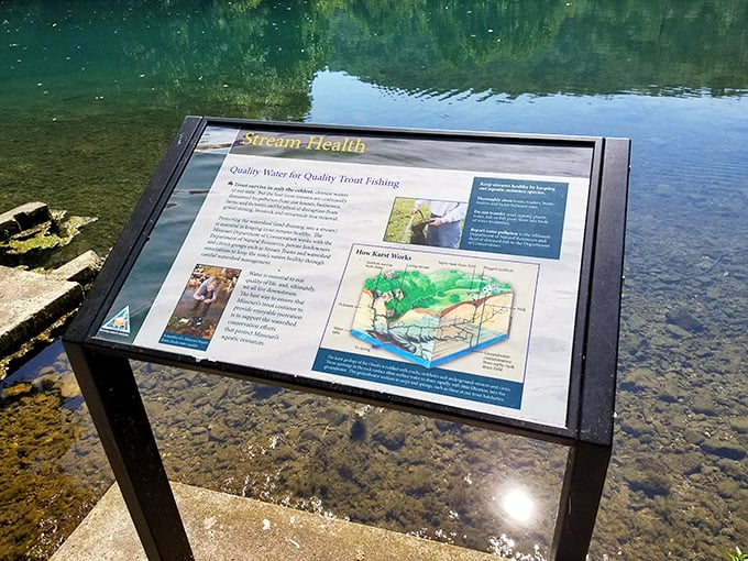 Knowledge with a view &ndash; educational signage explains the delicate ecosystem while the pristine waters below offer a live demonstration of what's at stake.