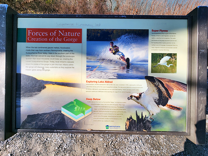 Mother Nature's resume, conveniently displayed for those who skipped Earth Science class. The gorge's creation story rivals any Hollywood epic.