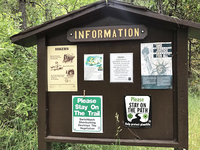 The forest's version of "You Are Here." Less exciting than the falls themselves but significantly more helpful for not getting lost.