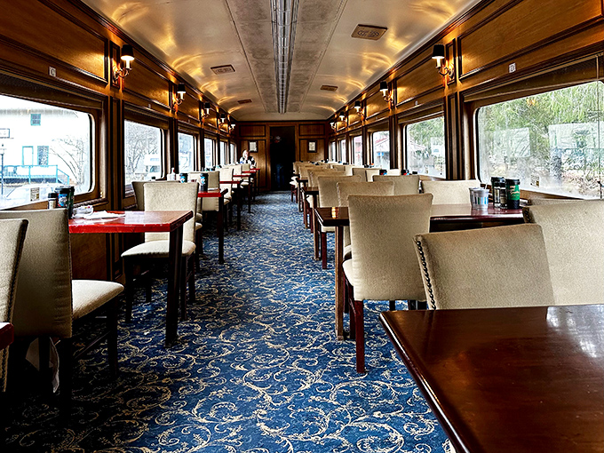 First-class comfort rolls through mountain wilderness. The dining car's elegant interior promises meals with a side of ever-changing scenic views.