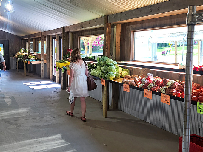 Fresh produce lined up like soldiers ready for culinary battle. Those cabbages have more personality than most reality TV stars.