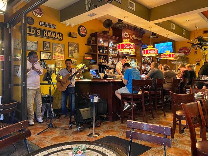 When live music fills the bar, even the vintage signs seem to sway slightly to the rhythm of guitars and percussion.