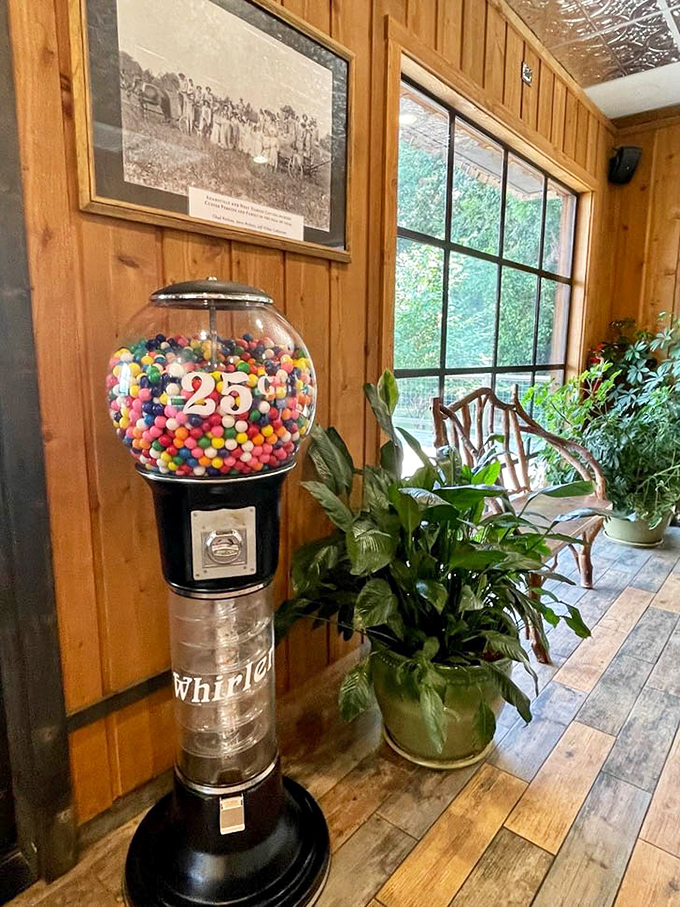 Vintage photos and a candy machine that's seen decades of eager quarters&mdash;this place doesn't manufacture nostalgia, it simply preserves it naturally.