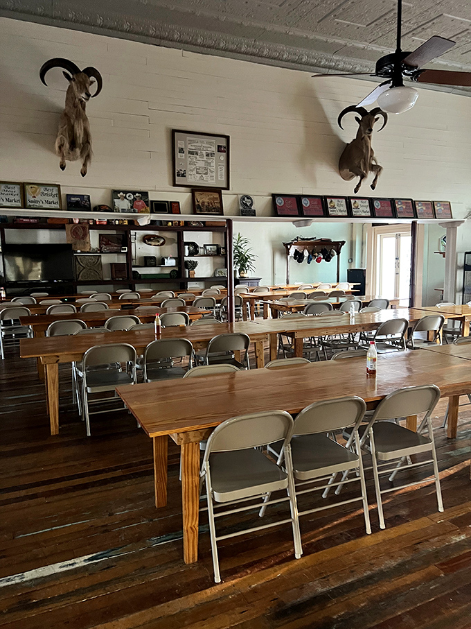 The dining room&mdash;where mounted trophies remind you exactly where your meal came from. No pretension, just wooden tables and meat memories.