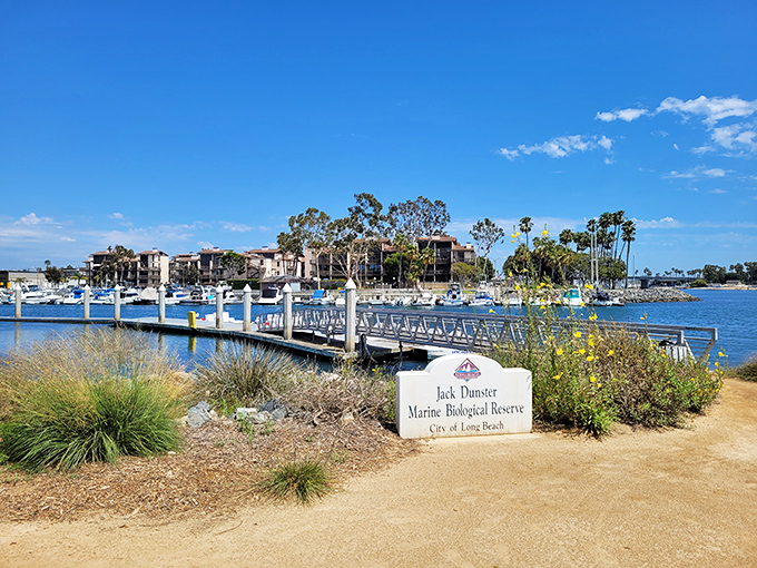 Jack Dunster Marine Biological Reserve proves nature preserves don't need to be remote&mdash;sometimes paradise is just a boardwalk away from downtown.