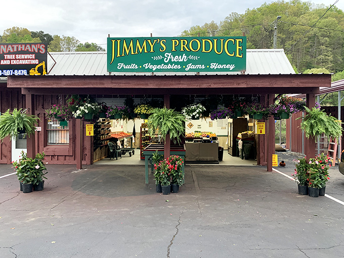 Jimmy's Produce stands as living proof that the best shopping experiences still involve dirt-dusted vegetables and actual human conversation.