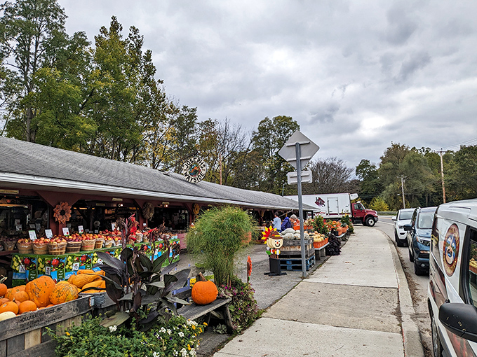 Joseph's Wayside Market displays autumn's bounty like edible artwork—pumpkins and produce arranged so perfectly you almost feel guilty for disturbing the display.