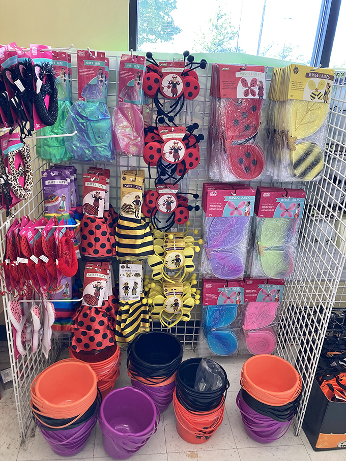 Instant transformation for under a buck! These ladybug and bee costumes prove imagination doesn't need a blockbuster budget.