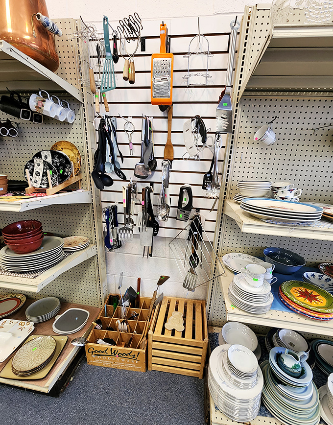 Kitchen gadget nirvana where utensil enthusiasts lose track of time. Every cook needs that third spatula… or maybe the fourth?
