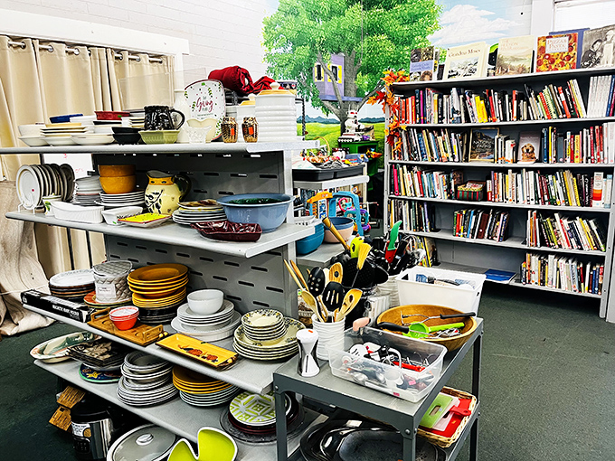 The kitchenware section: where discontinued patterns and vintage Pyrex find new admirers. One person's castoff becomes another's prized collection starter.