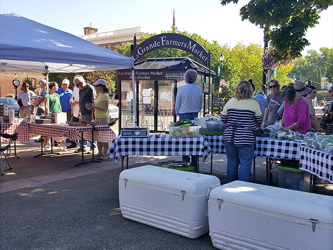 The La Grande Farmers' Market transforms ordinary Saturday mornings into festive gatherings where the produce is as fresh as the gossip.