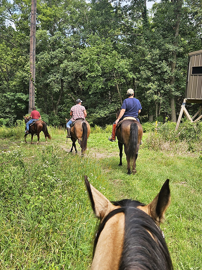 Horseback riding through Wisconsin's lush countryside&mdash;where "rush hour" means four horses on the trail instead of three.