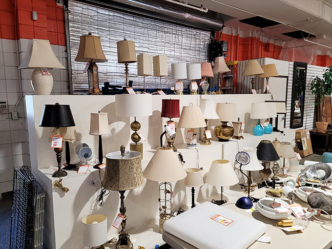 The lamp department shines bright with possibilities &ndash; from brass beauties to ceramic curiosities, all waiting for their second act.