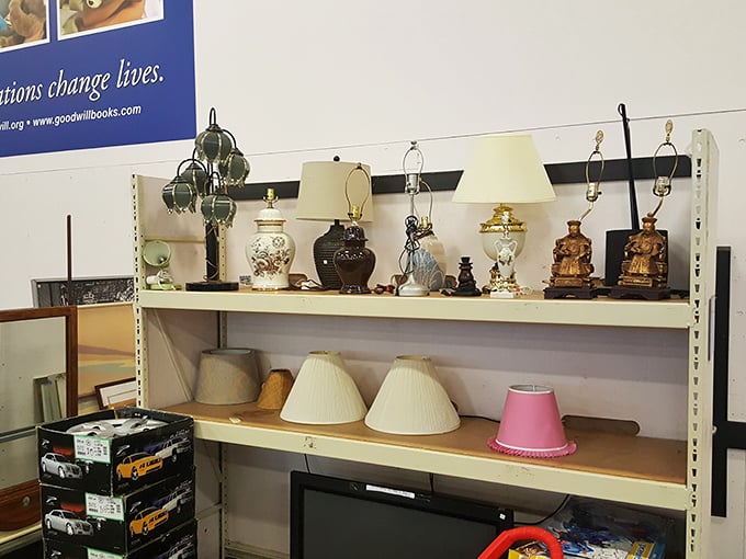 Vintage lamps that once lit someone's reading nook, now waiting for their second act.