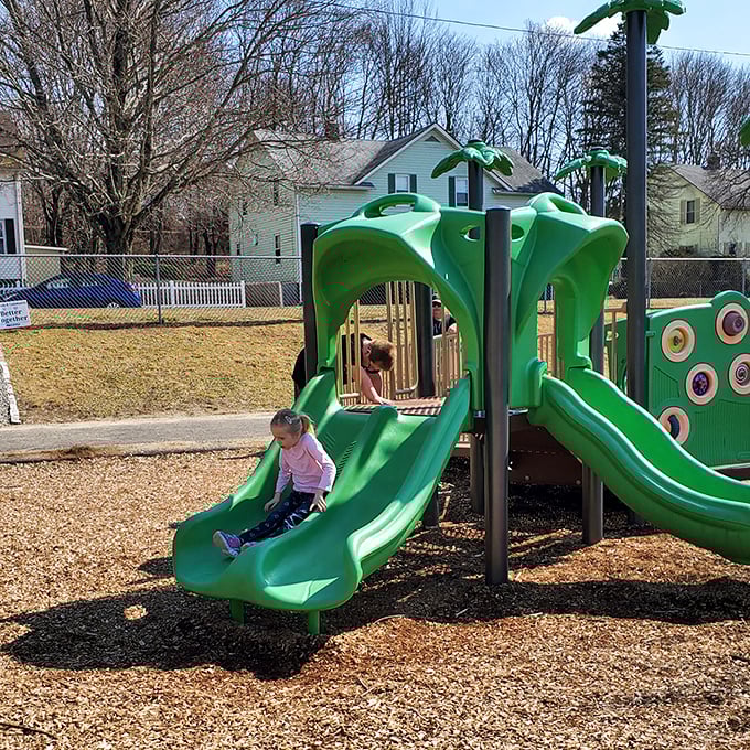 Lion's Park playground: where jungle gyms grow wild and free, and kids still play outside like it's 1985.