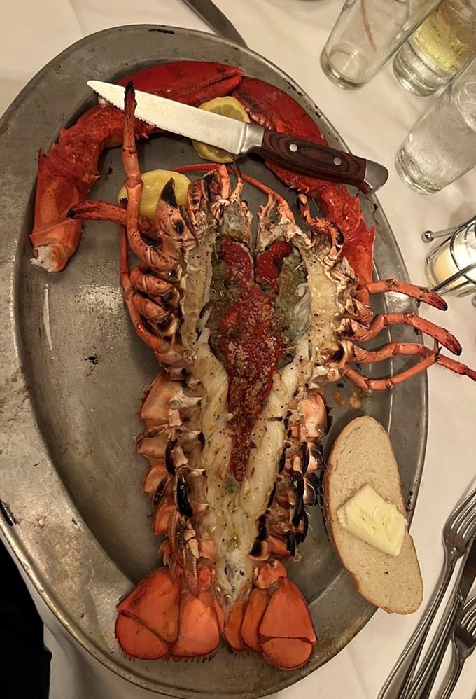 When your lobster arrives looking like it's ready for its own Instagram account, you know dinner has officially become an event.