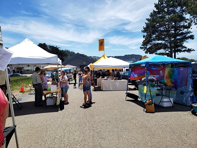 The local farmers market showcases Mendocino County's agricultural bounty, where conversations with growers come free with every purchase of heirloom tomatoes and artisanal cheese.