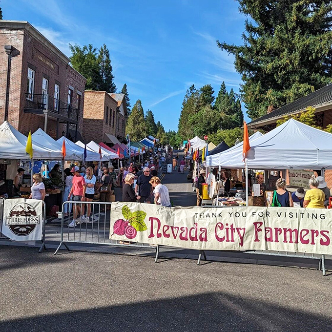 Nevada City Farmers Market brings locals and visitors together, celebrating the bounty of Sierra foothills farms with colorful produce and crafts.