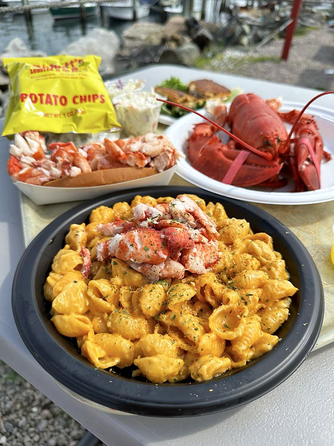 Lobster mac and cheese &ndash; where comfort food meets luxury in a bowl. The pasta is just transportation for all that buttery, oceanic goodness.
