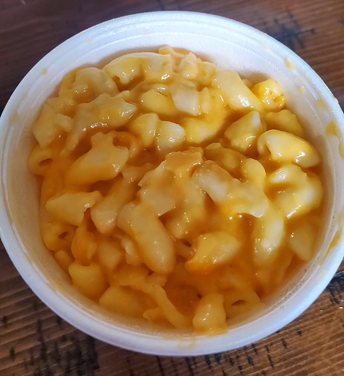 Mac and cheese that doesn't need fancy additions to prove its worth. Simple, creamy, and exactly what your inner child is craving right now.