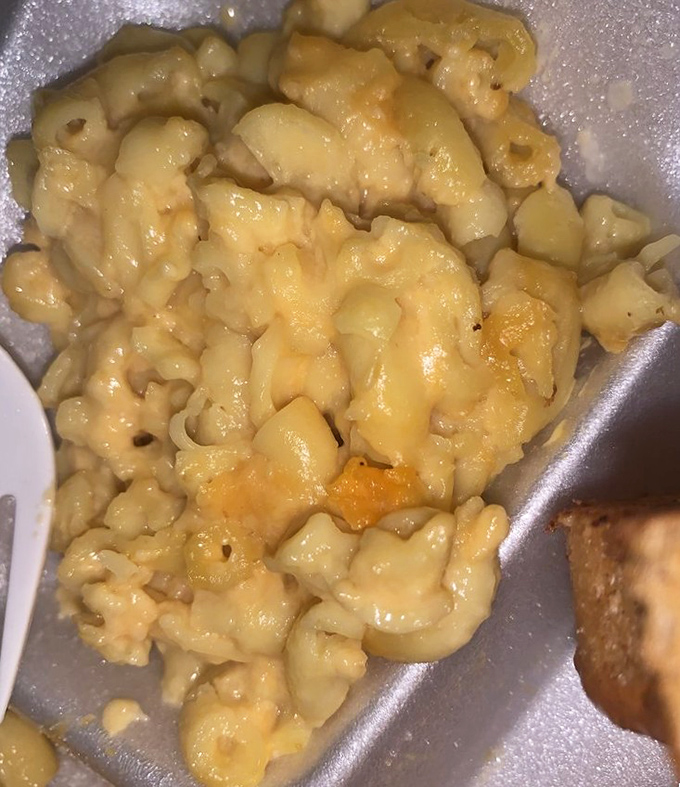 Mac and cheese that doesn't apologize for being exactly what it is—comfort in a bowl, with that perfect golden crust that makes you want to fight for the corner piece.