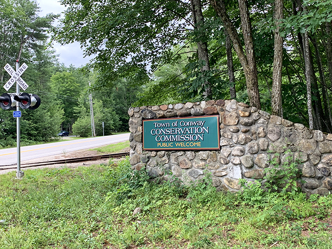 The Conway Conservation Commission sign: where nature officially announces, "The good stuff starts here." Wild New Hampshire at its most welcoming.