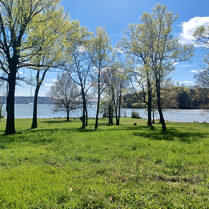 Spring brings a painter's palette of greens to Marshall County Park, where lakeside trees create natural frames for postcard-worthy water views.