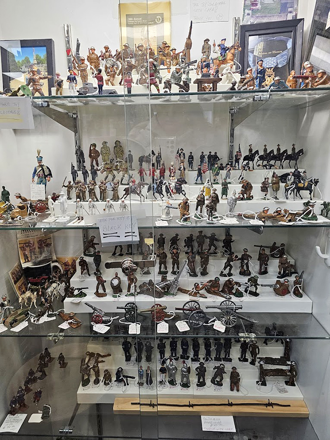 Tiny soldiers standing at attention, waiting for their next commander. This display case is a miniature military museum for the serious collector.