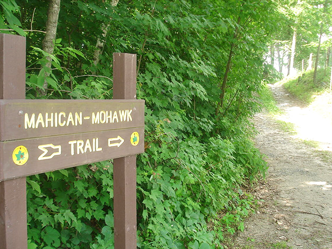 This scenic stretch makes even traffic jams feel like meditation sessions.