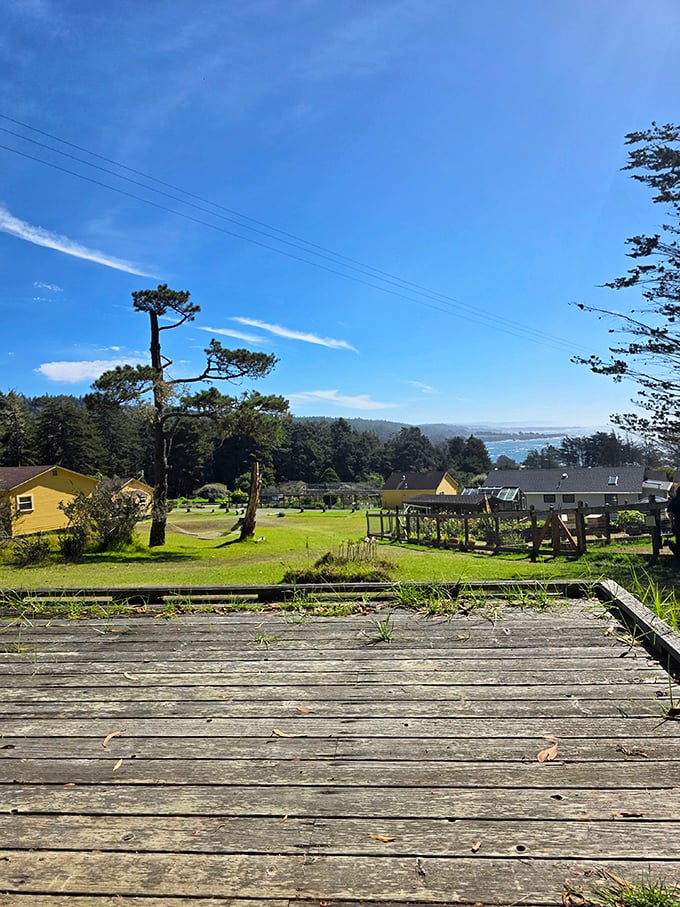Morning coffee tastes better with this view&mdash;coastal fog playing hide-and-seek with yellow cottages and garden plots.