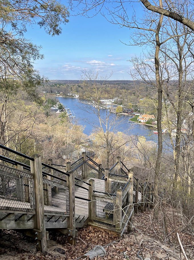 Those Mount Baldhead stairs lead to views worth every breathless step and muttered complaint along the way.