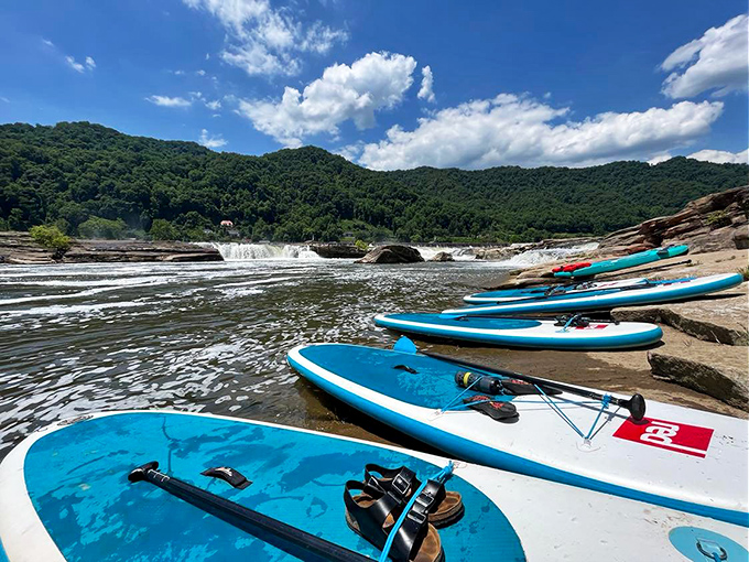 Paddleboards lined up like colorful soldiers ready for aquatic adventure &ndash; proof that flat water can deliver just as much excitement as rapids.