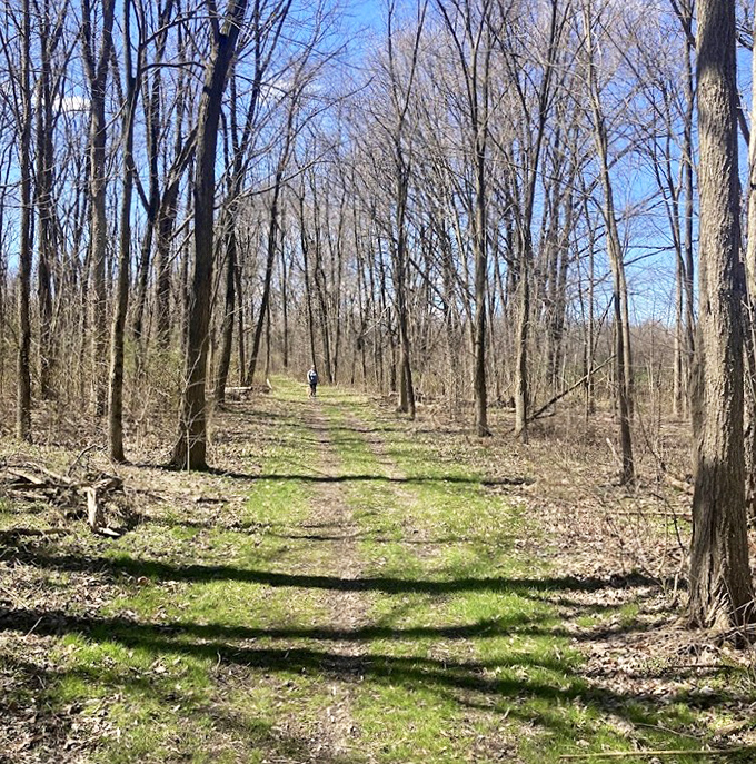 Social distancing, nature-style. This trail through leafless spring woods offers the perfect path for contemplative walks and spontaneous wildlife encounters.