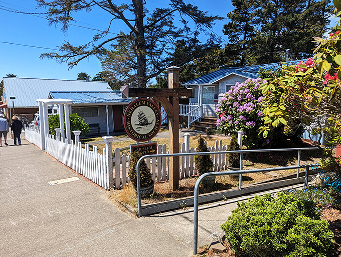 History buffs, rejoice! The Nehalem Valley Historical Society preserves local stories with the same care that locals preserve their stunning coastline.