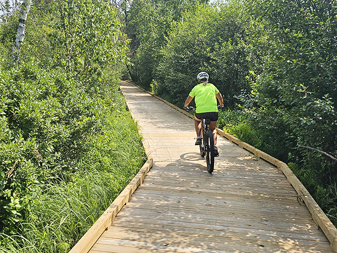 Nature's therapy session awaits on Alpena's wooden pathways, where cyclists and hikers find solace among Michigan's lush greenery.