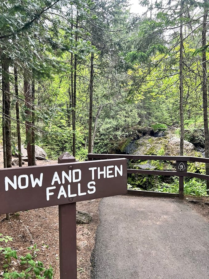 "Now and Then Falls" lives up to its poetic name—sometimes roaring, sometimes whispering, sometimes playing hard to get by disappearing entirely.