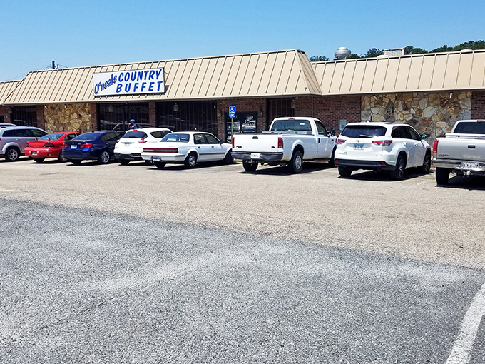 Cherokee Lake Park's rose garden and gazebo create the perfect backdrop for proposals, poetry readings, or pretending you're in a Jane Austen novel.