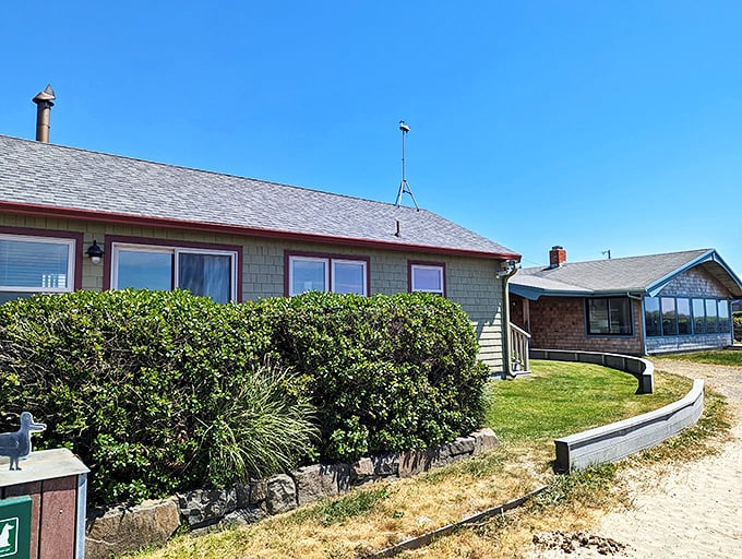 Beach cottages with weathered shingles line Manzanita's streets, their well-tended gardens adding splashes of color to the coastal palette.