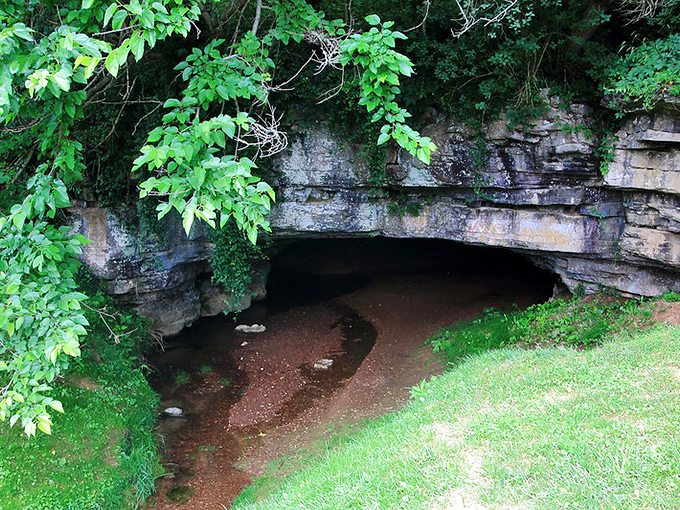 Nature's original doorway, inviting you to explore what lies beneath the surface of ordinary life.
