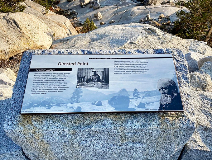 History carved in stone and metal. The Olmsted Point sign reminds us that even wilderness has architects and visionaries behind its preservation.