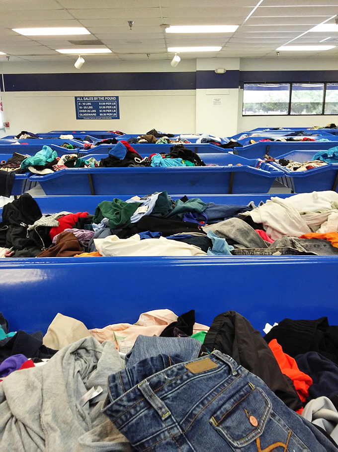 The thrill of discovery hangs in the air as shoppers scan row after row of blue bins&mdash;each containing potential Antiques Roadshow moments.