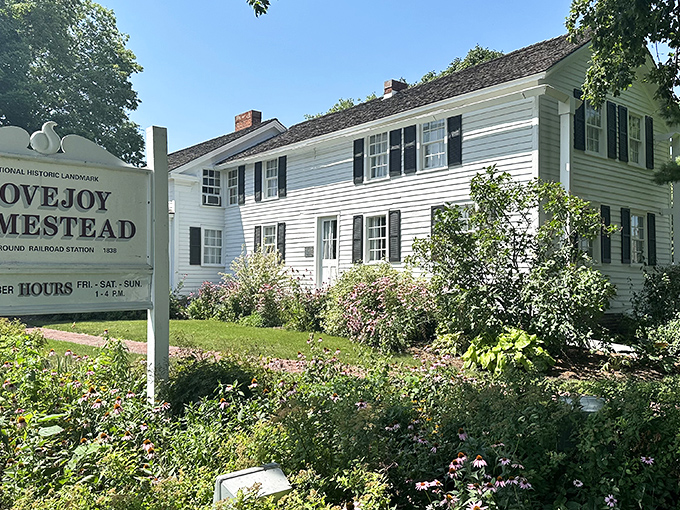 The Lovejoy Homestead stands as a powerful reminder of Princeton's role in the Underground Railroad, its white clapboard exterior hiding heroic history within.