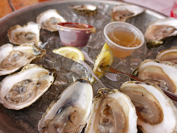 Fresh oysters on ice prove that sometimes the fanciest food comes served in the most gloriously casual settings imaginable.