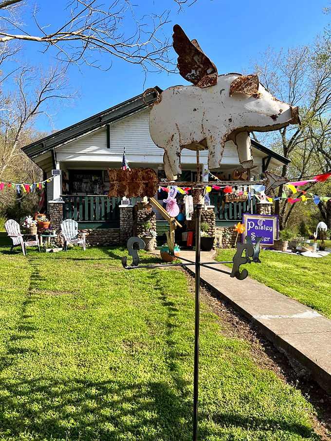 Paisley Sister brings a splash of style to Main Street, proving small towns have big taste.