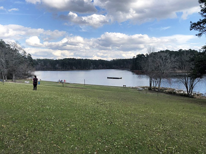 Wide open spaces that whisper "picnic here" with every gentle breeze. The lake view comes complimentary with your sandwich.